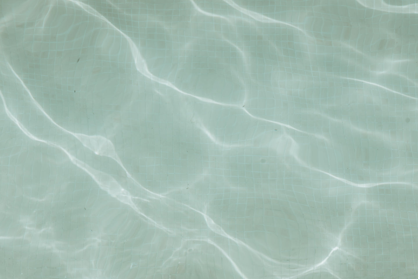 ROOM EIGHT STUDIO | SHOP FOR HOLIDAY – Room Eight